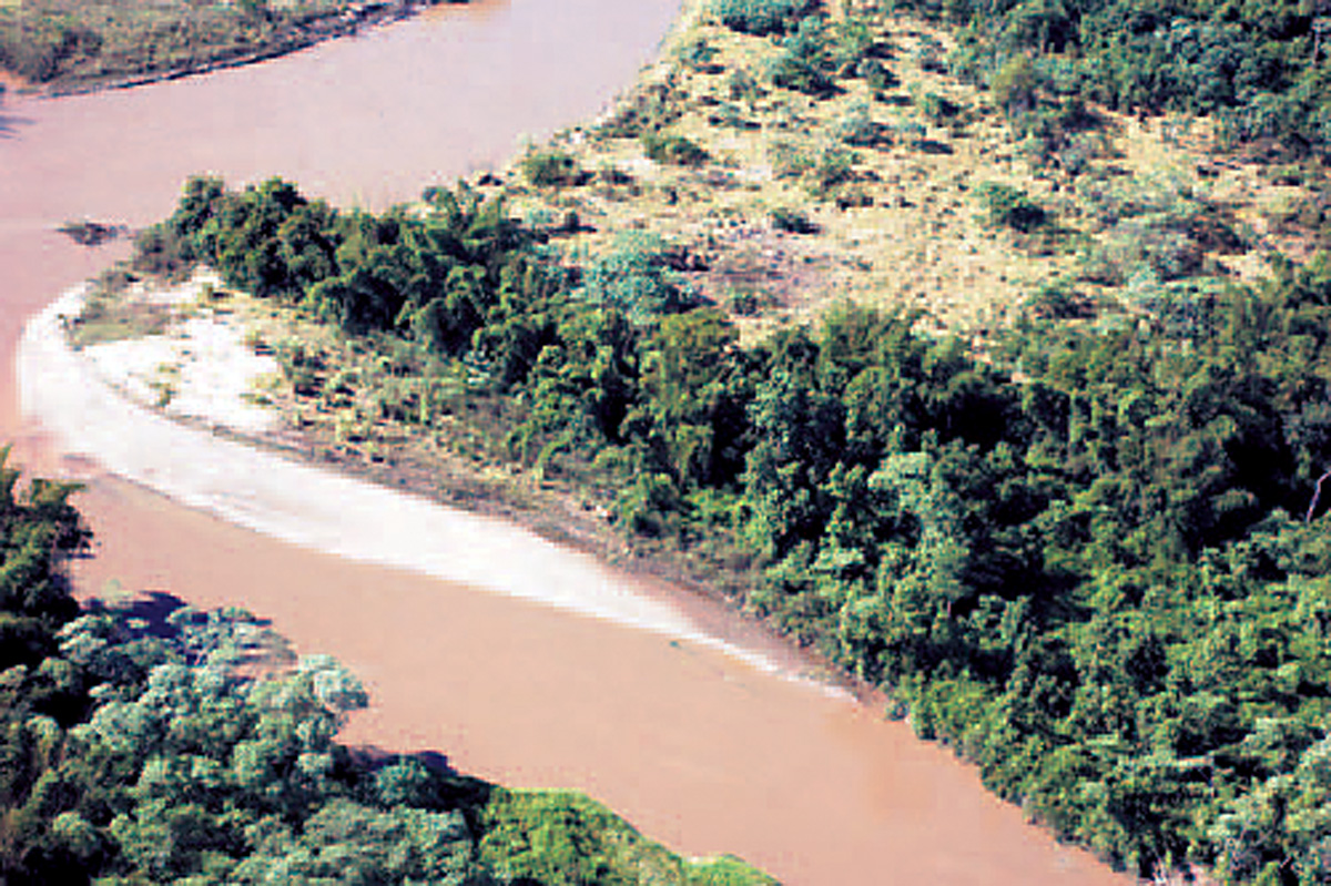 O Parque Estadual do Rio do Peixe abriga uma diversidade grande da ...