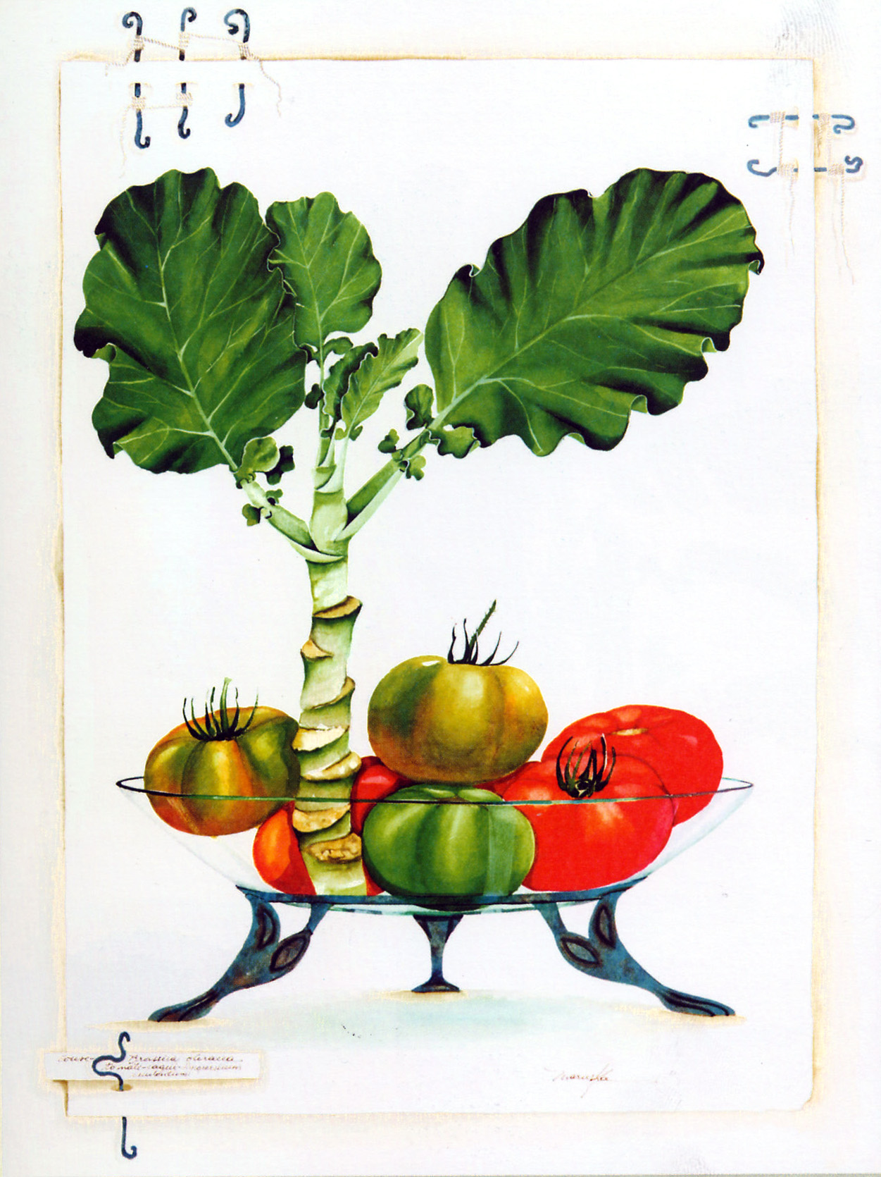 As "naturezas-vivas" de Maruska Cara, no Espaço V Centenário